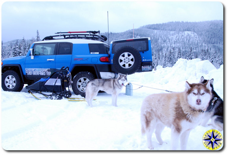 Survivor Arctic - the dog sledding story | Overland Adventures and Off-Road